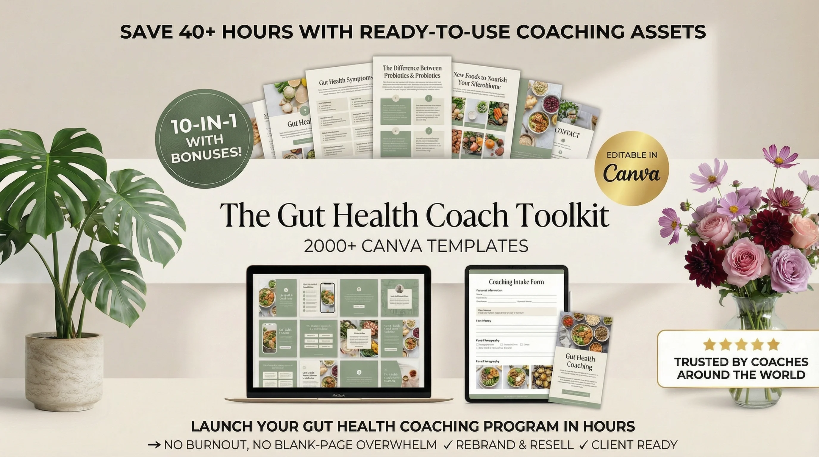 Gut Health Coach Bundle - Complete Coaching Toolkit with Client Forms ...